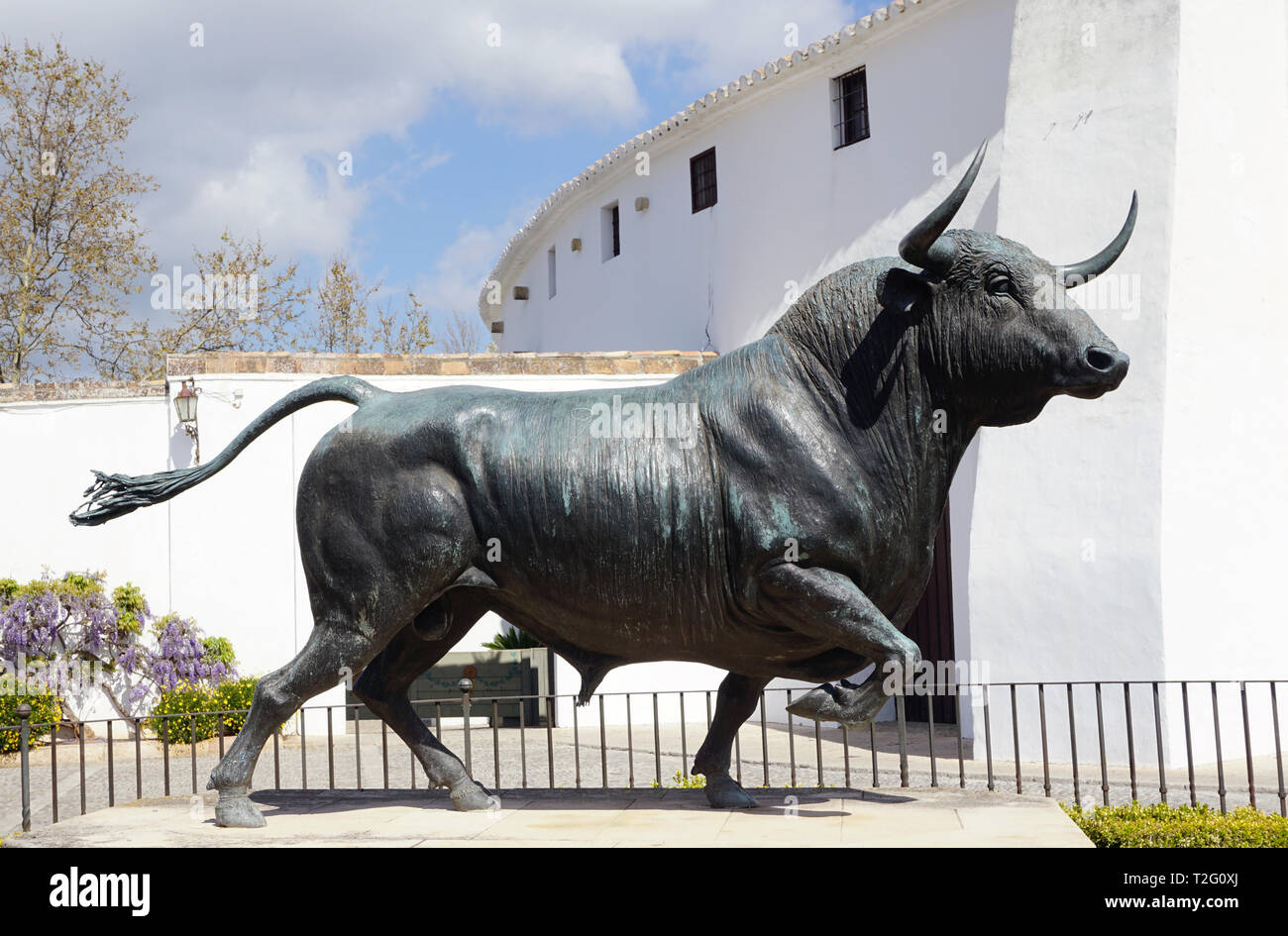 Toro de lidia Banque de photographies et d’images à haute résolution ...