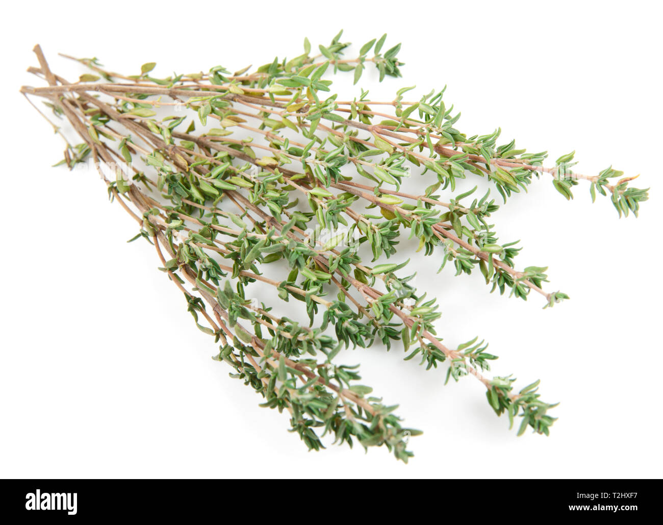 Thym frais Banque de photographies et d’images à haute résolution - Alamy
