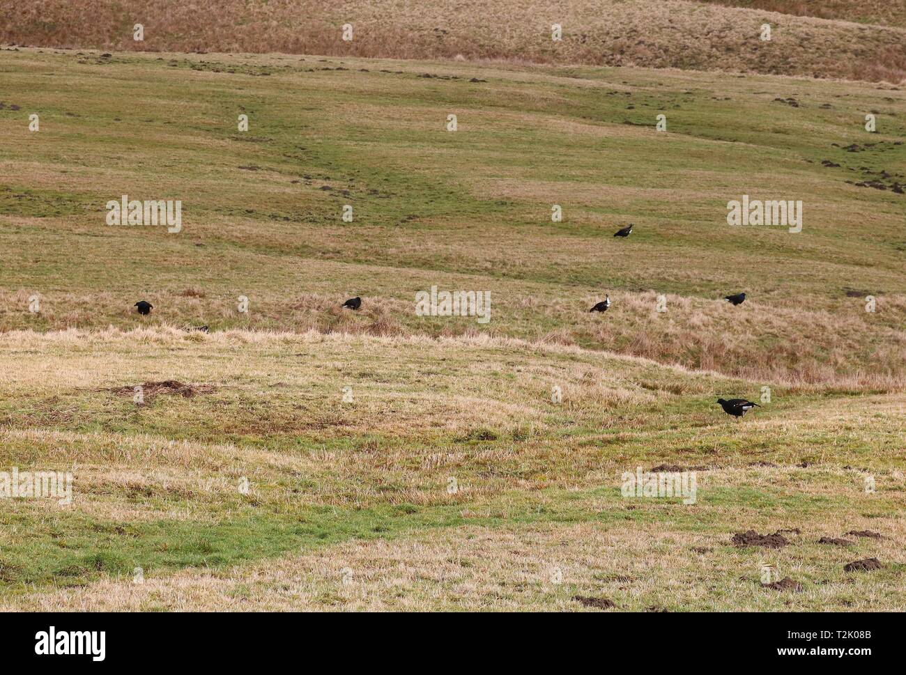Langdon beck Banque de photographies et d’images à haute résolution - Alamy