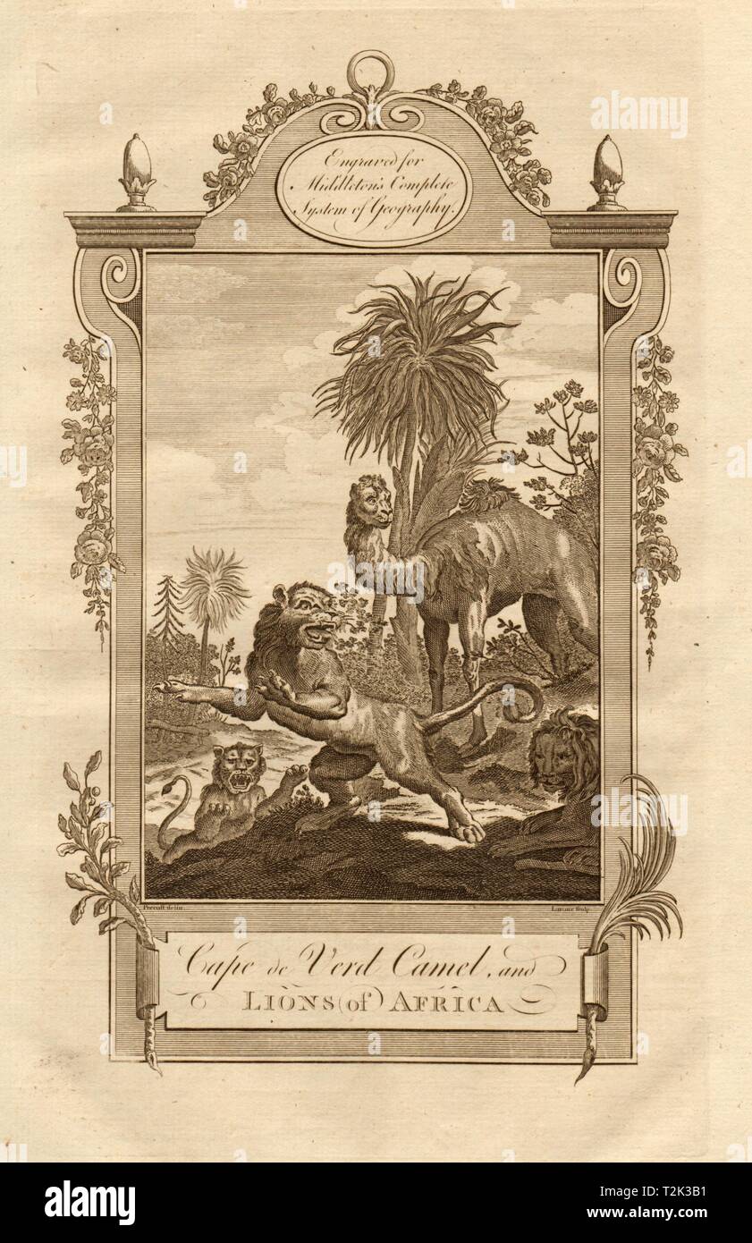 Cap vert senegal Banque de photographies et d’images à haute résolution ...