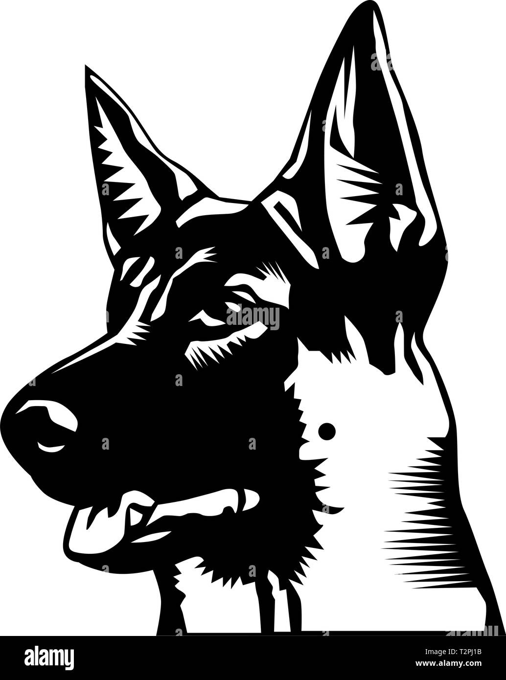 Berger Allemand Vector Illustration Image Vectorielle Stock - Alamy