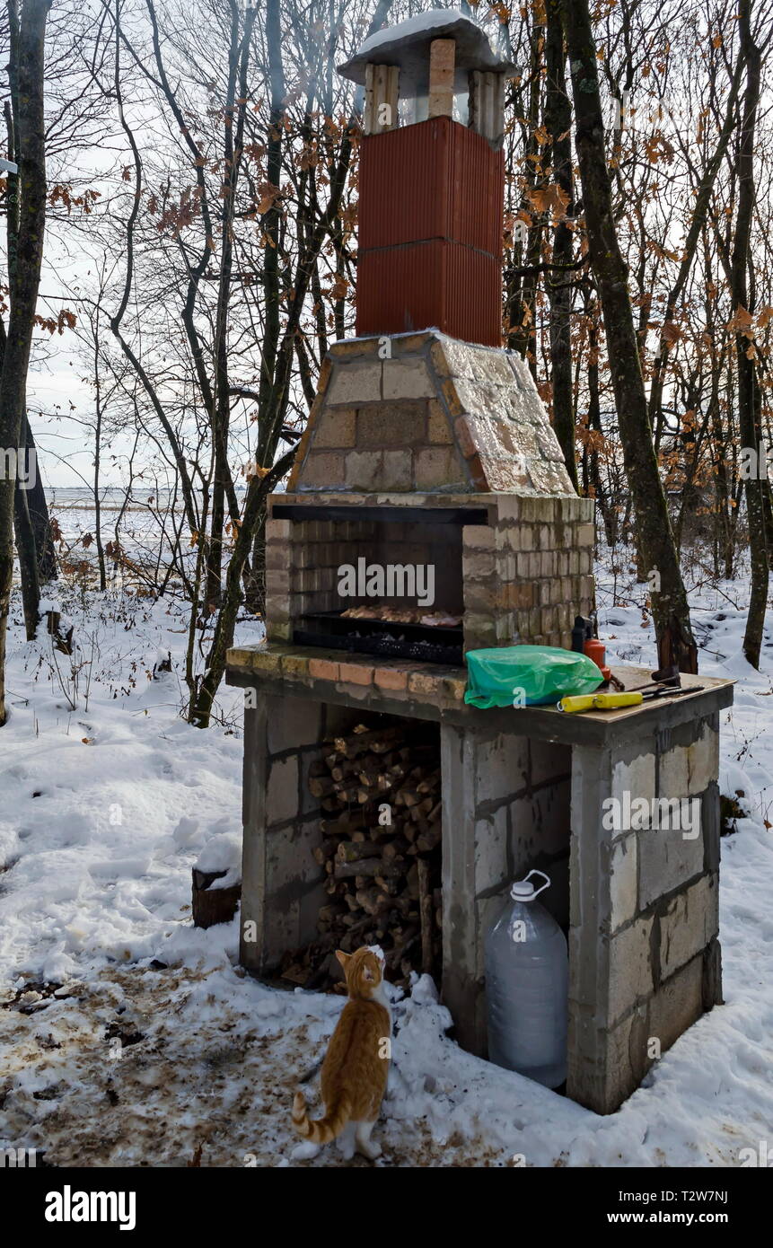 Chat sur le barbecue Banque de photographies et d’images à haute ...
