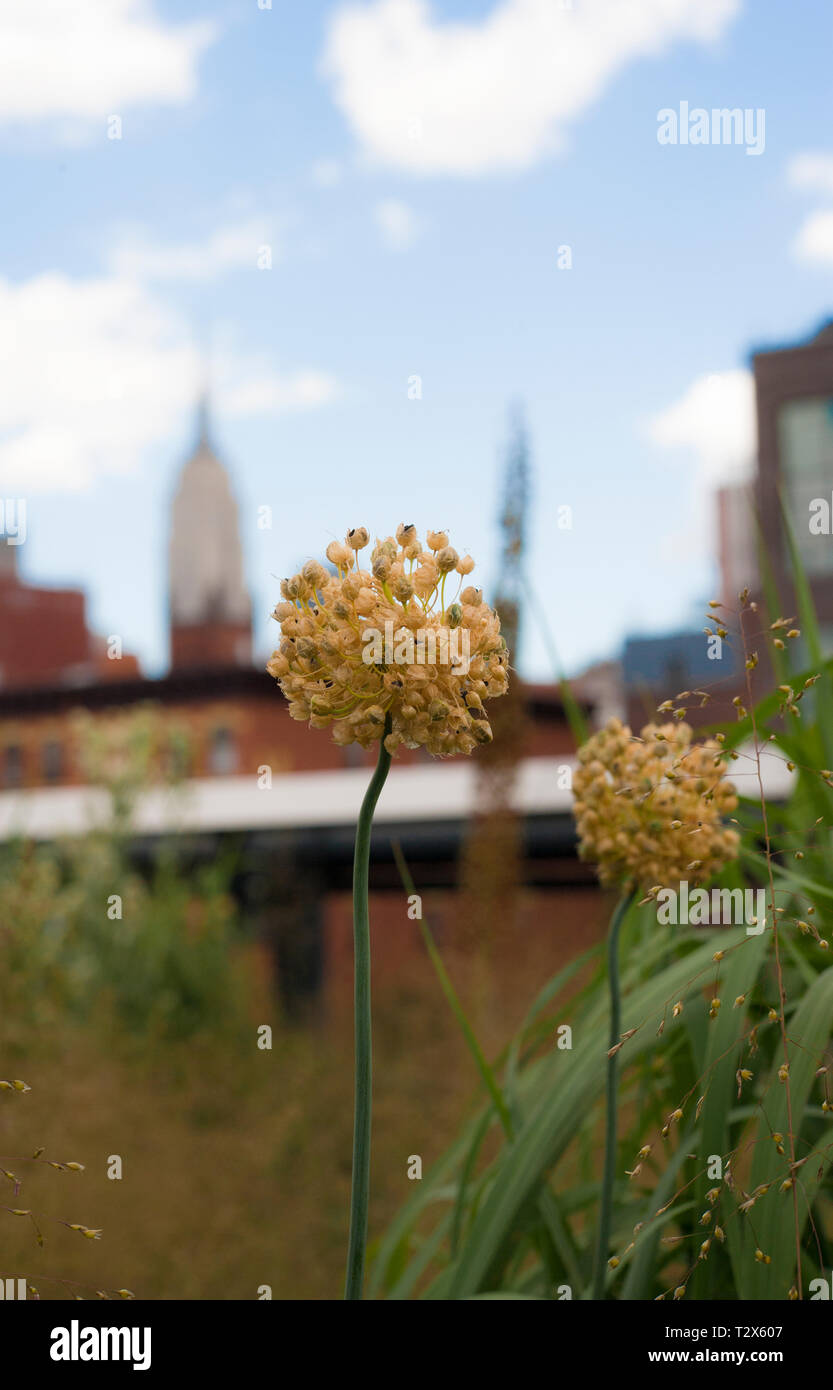 La highline Banque de photographies et d’images à haute résolution - Alamy