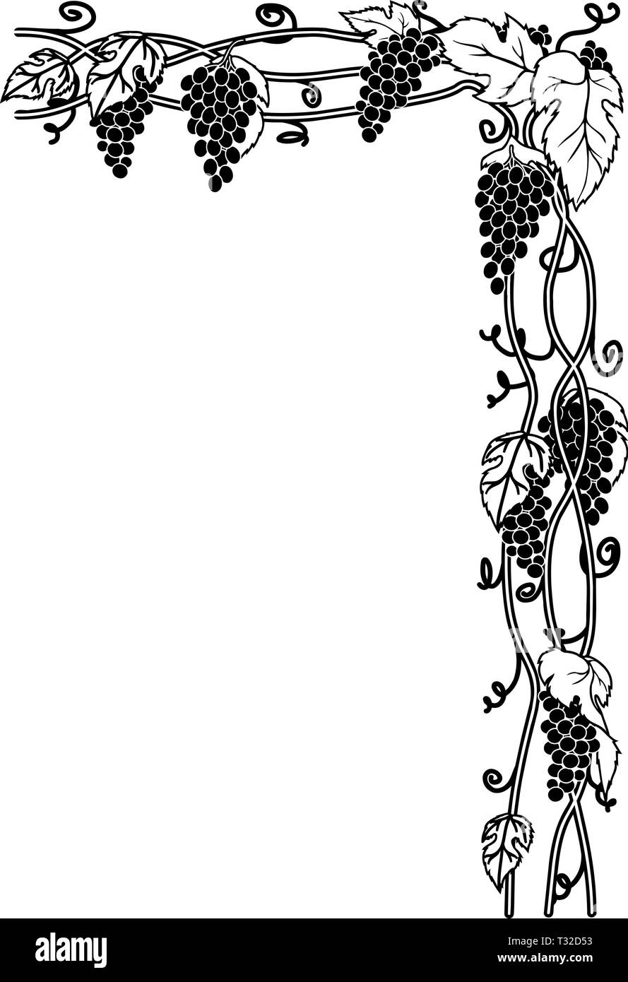 Bunch of grapes illustration Banque de photographies et d’images à ...