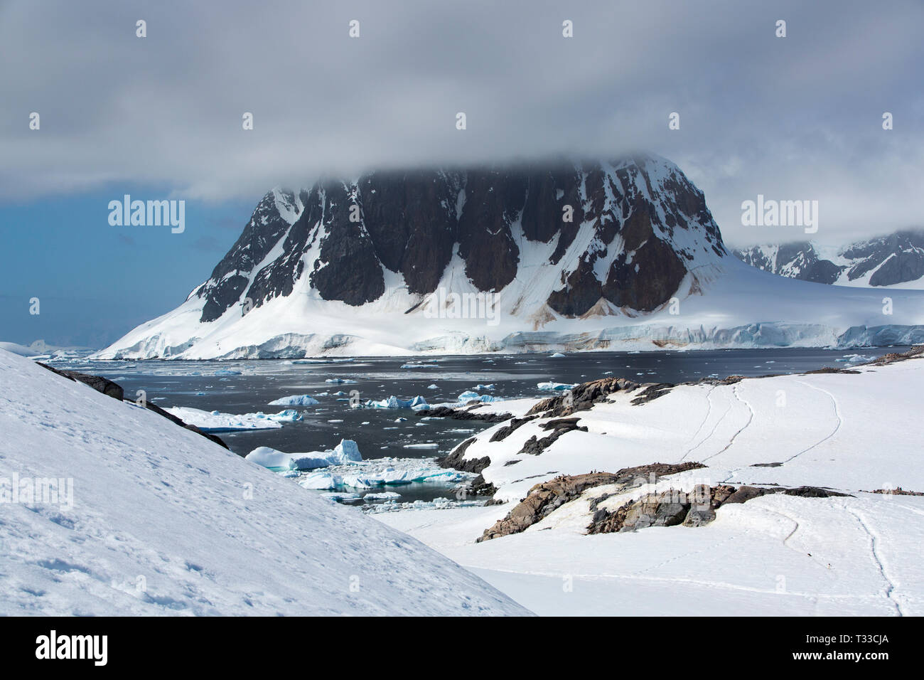 Charcot iceberg Banque d'image et photos - Alamy