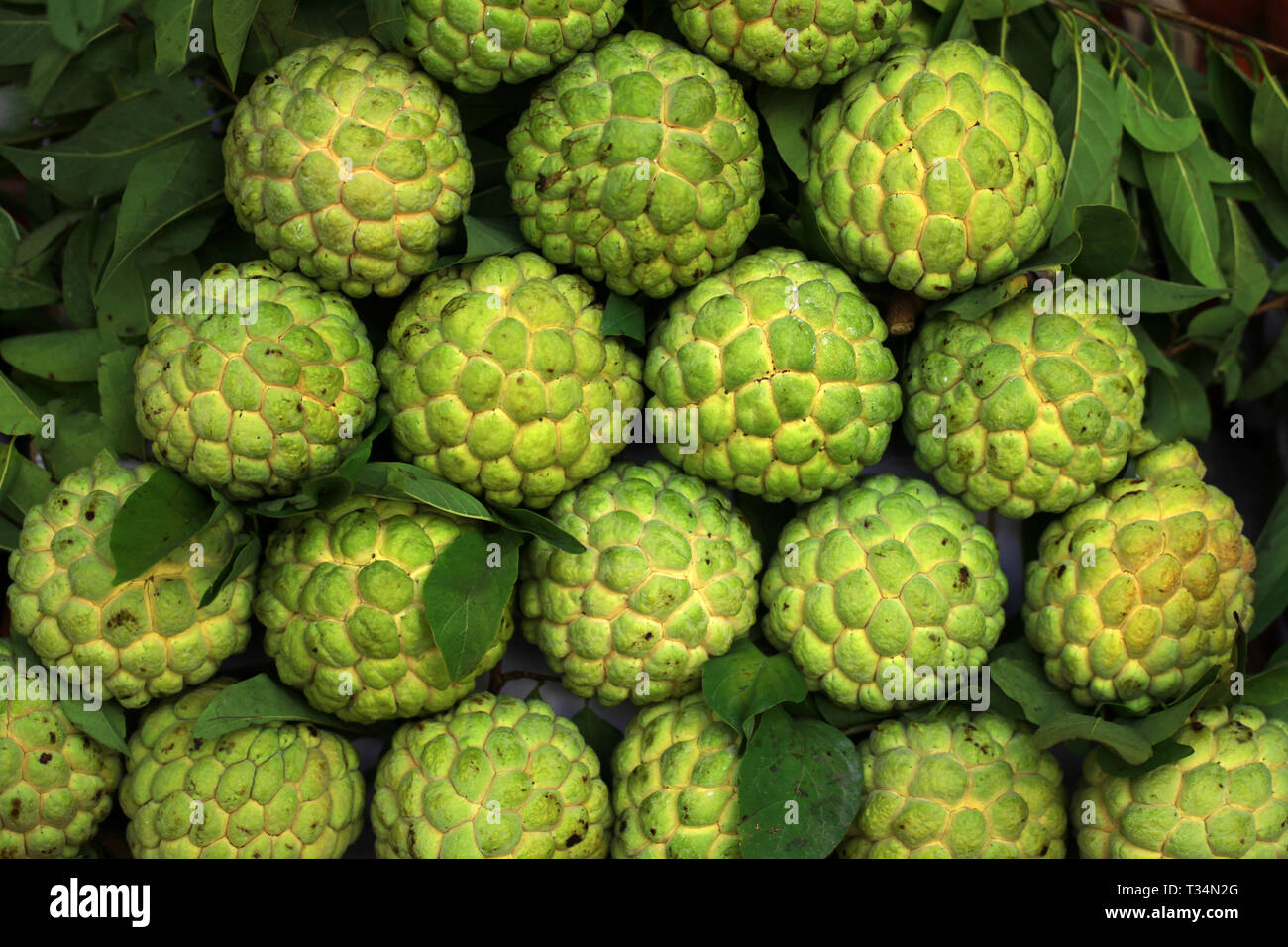 Sucre de fruits Banque de photographies et d’images à haute résolution ...