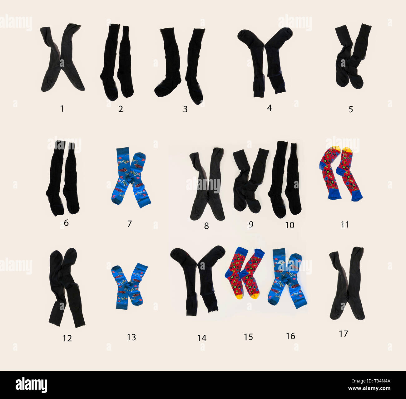 Paire de chromosomes Banque de photographies et d’images à haute ...