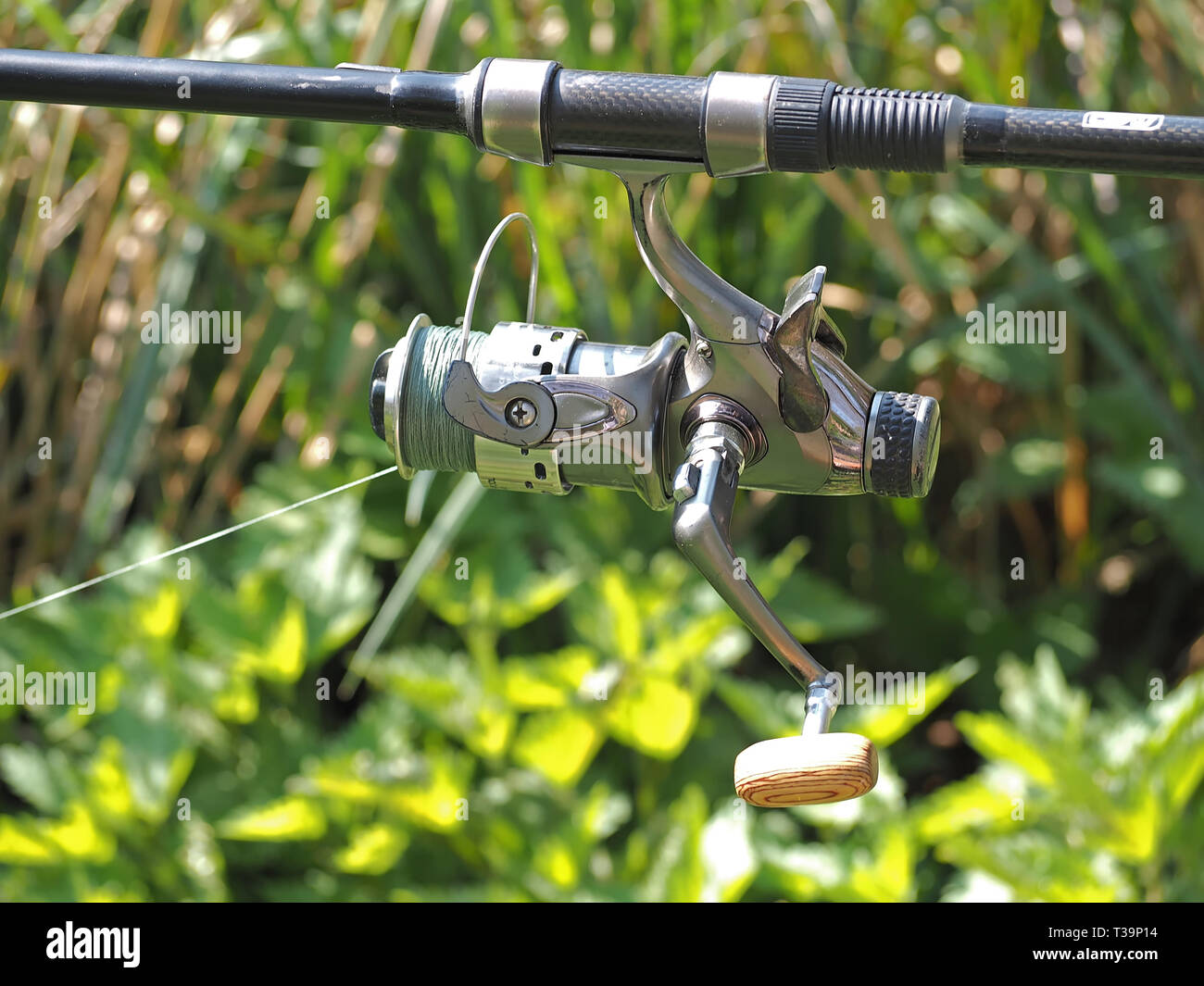 Tourner pour le poisson Banque de photographies et d’images à haute ...