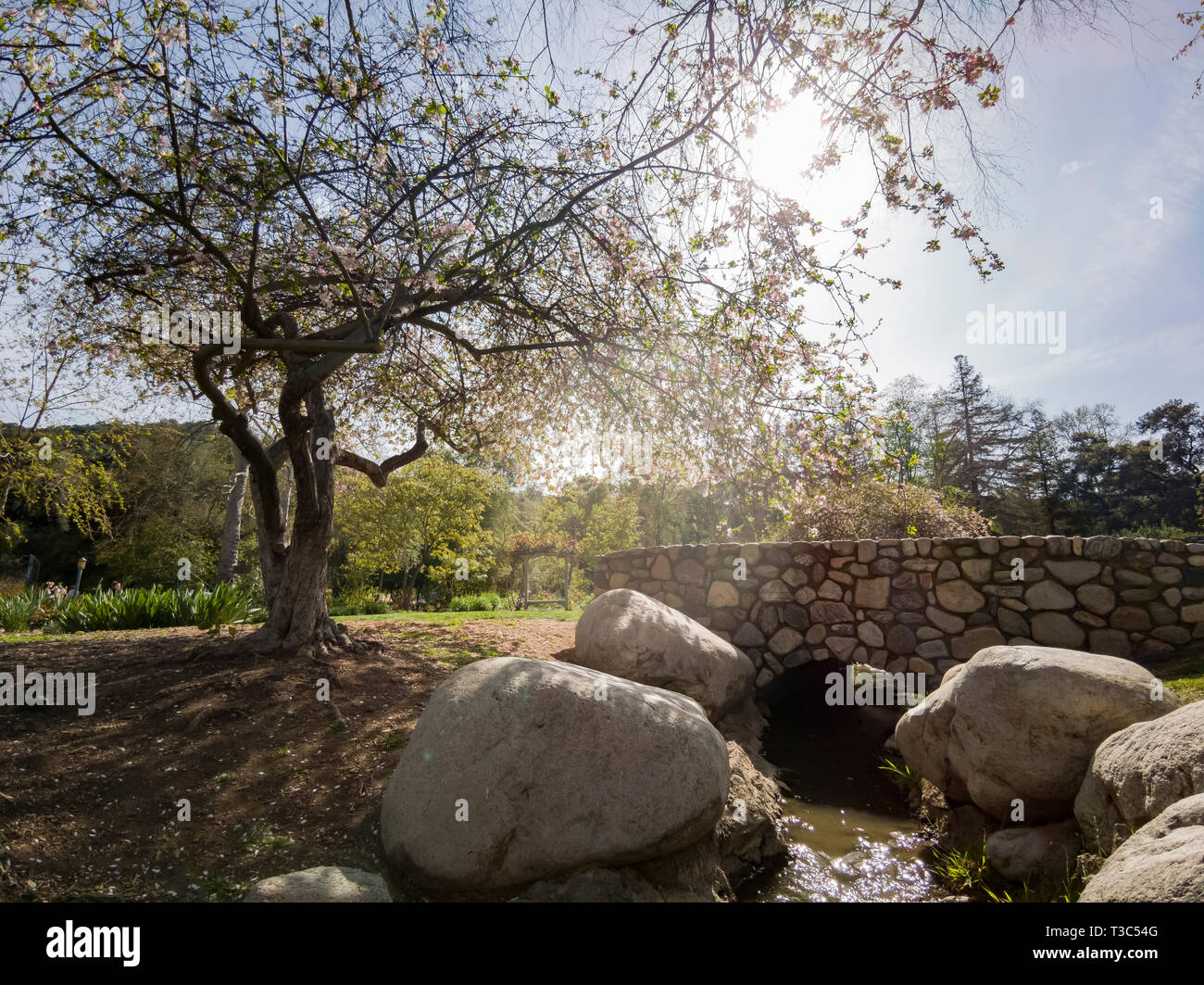 Gros plan de pommettes Banque de photographies et d’images à haute ...