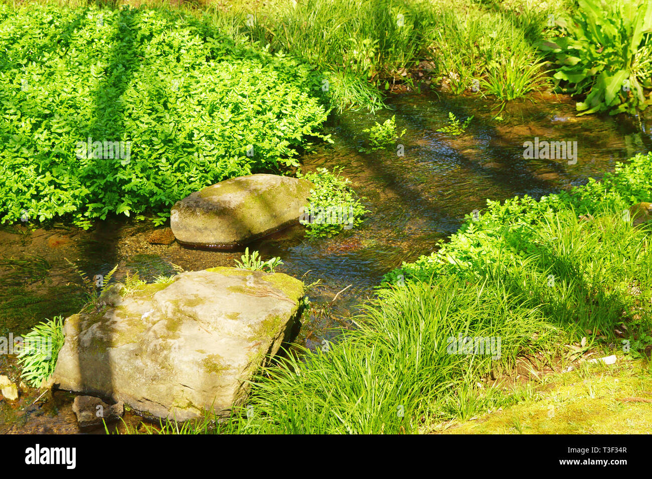 Eau de source qui coule Banque de photographies et d’images à haute ...