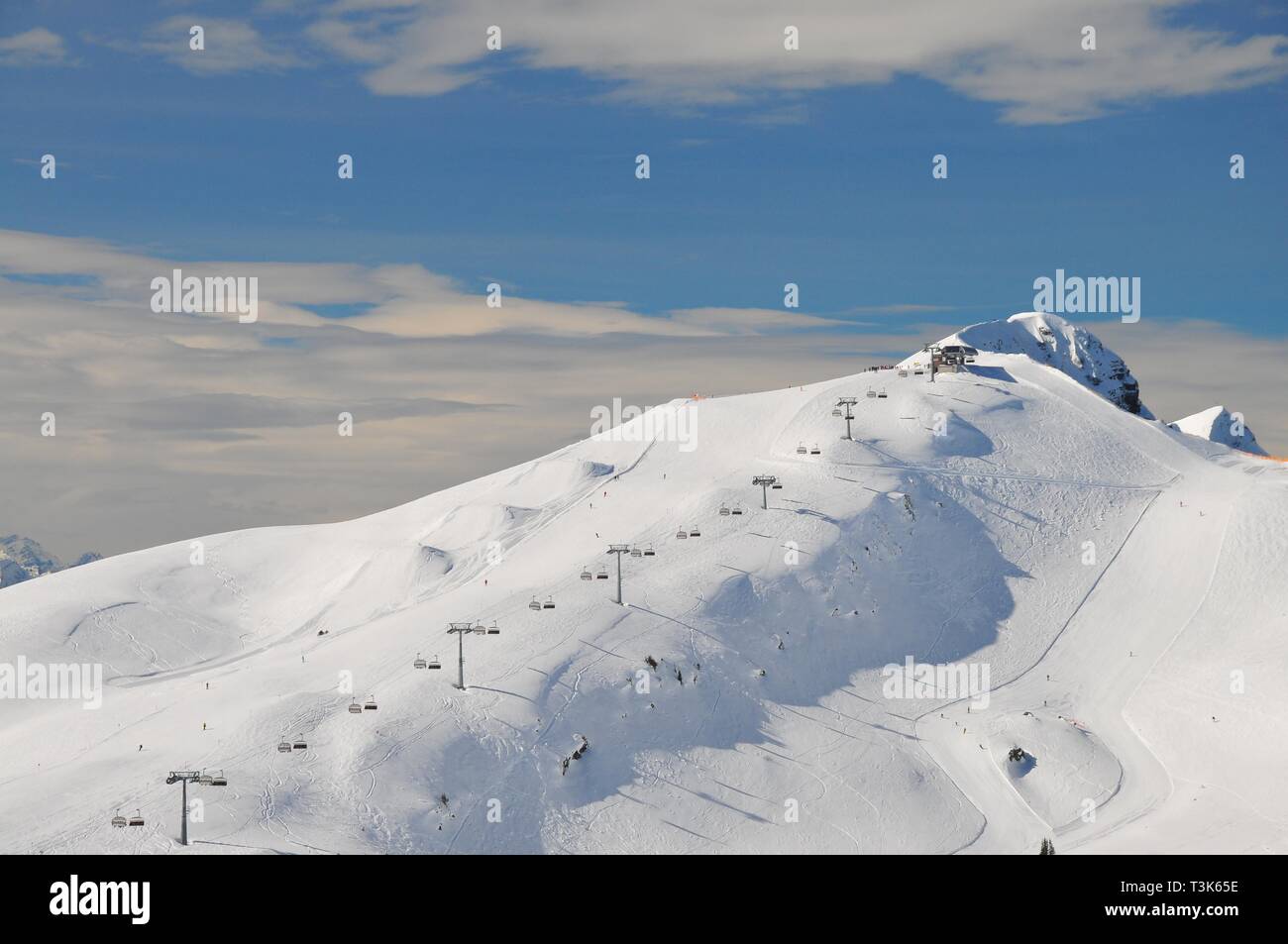 Forêt de bregenz Banque de photographies et d’images à haute résolution ...