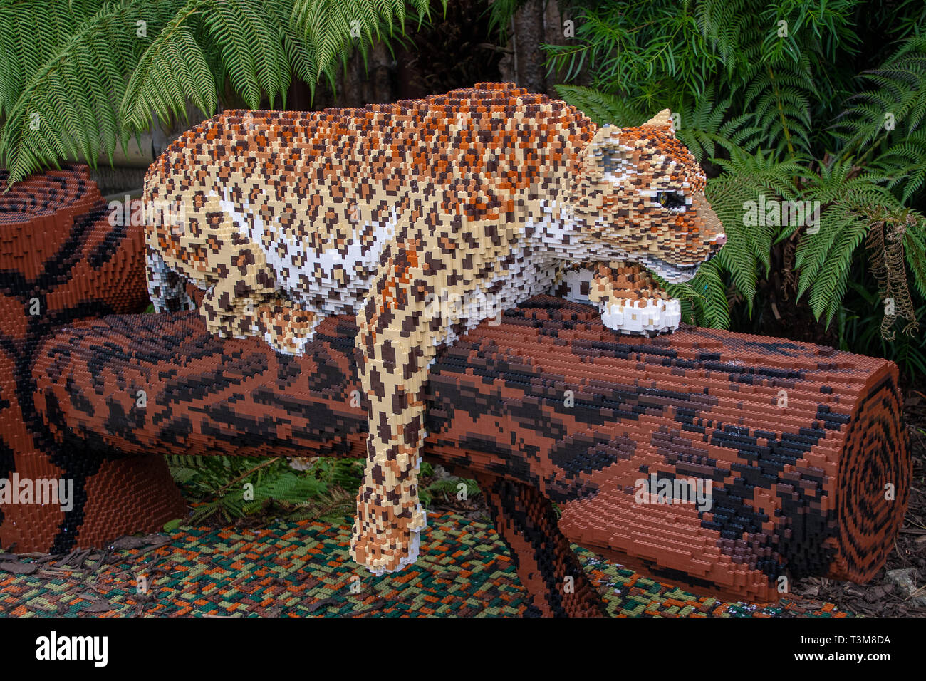 Lego forest Banque de photographies et d’images à haute résolution - Alamy