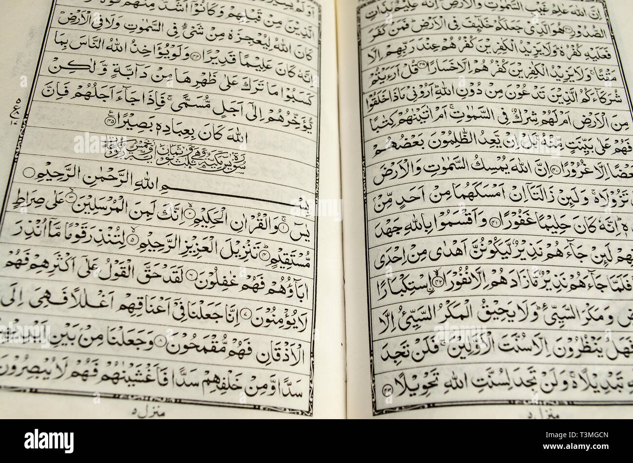 Islamic scripture Banque de photographies et d’images à haute ...