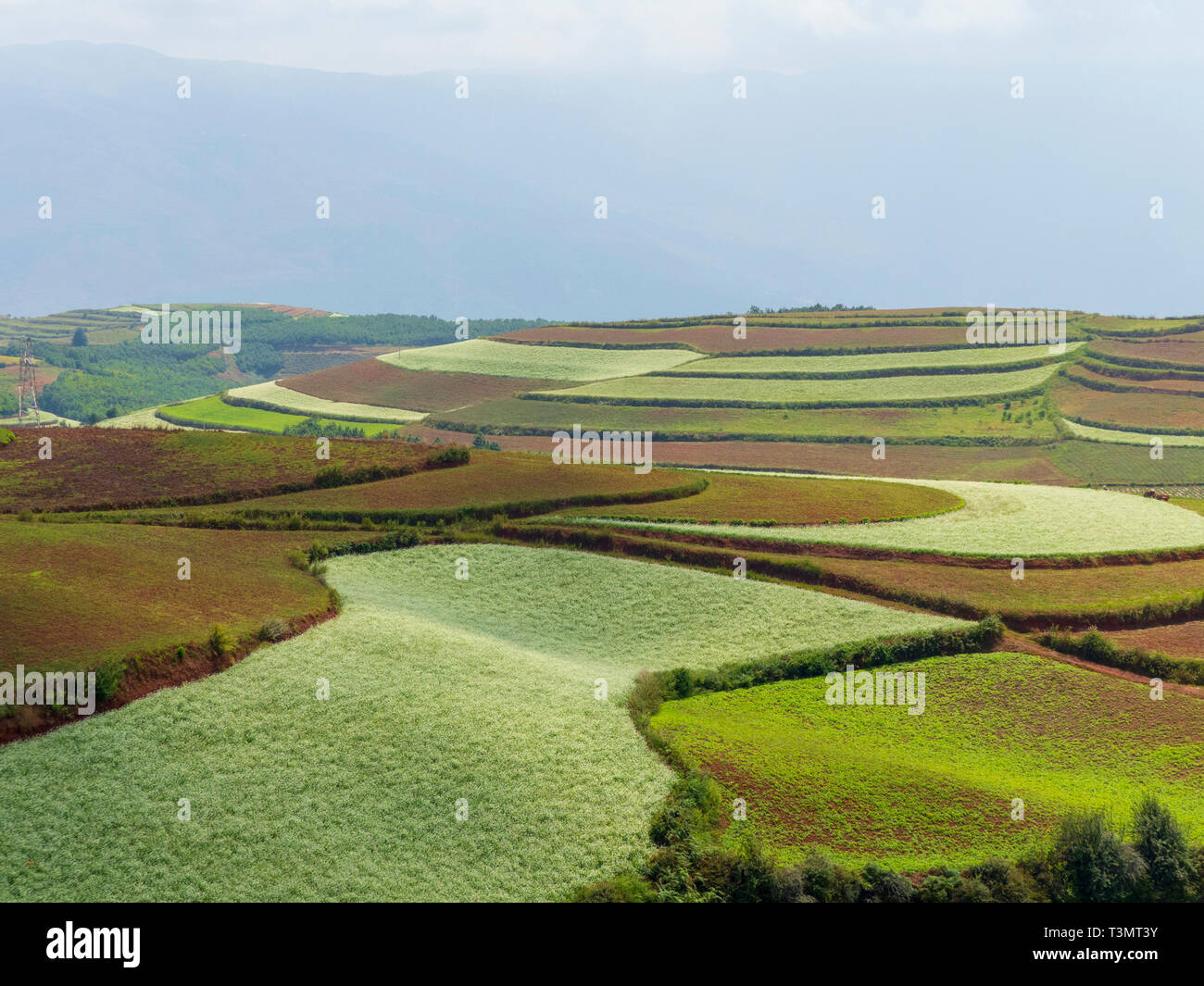 Hani rice terraces in yunnan Banque de photographies et d’images à ...