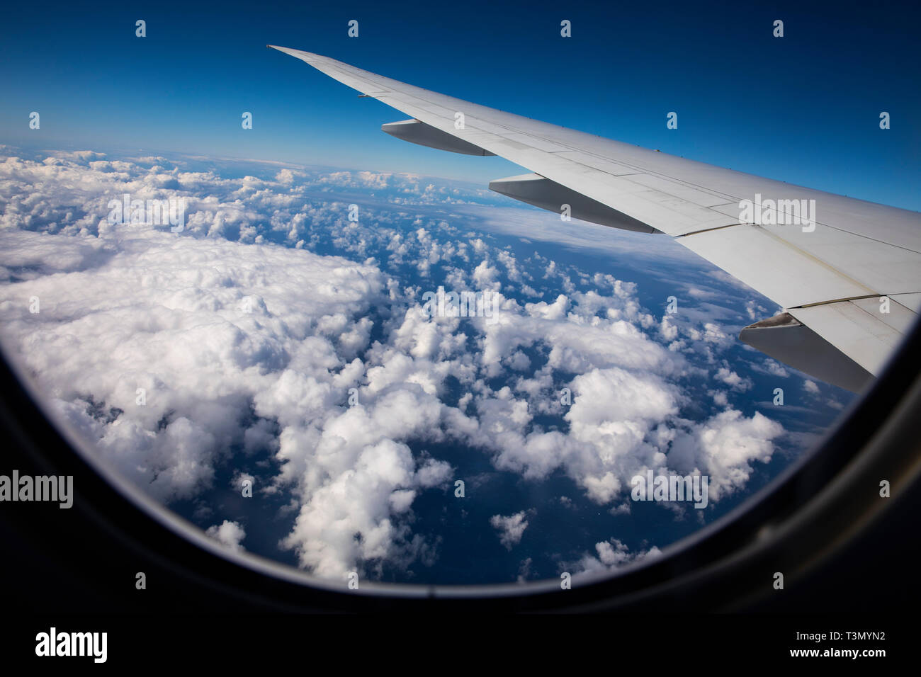 Boeing 787 dreamliner interior Banque de photographies et d’images à ...