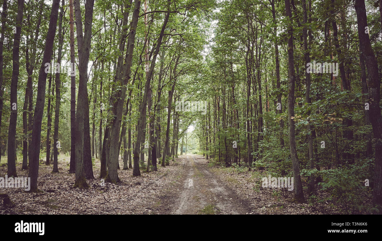 Une voie sombre Banque de photographies et d’images à haute résolution ...