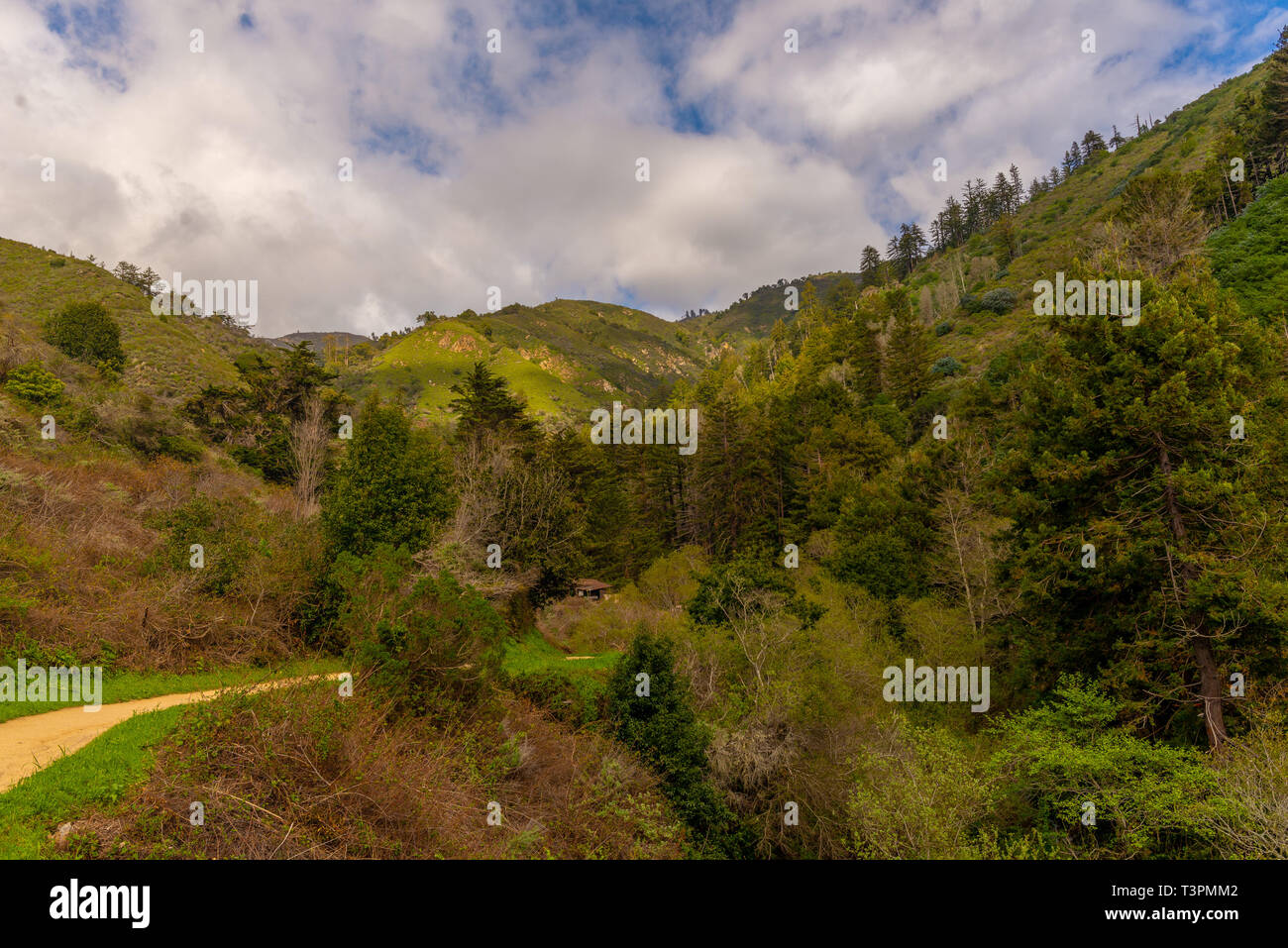 Julia pfeifer Banque de photographies et d’images à haute résolution ...
