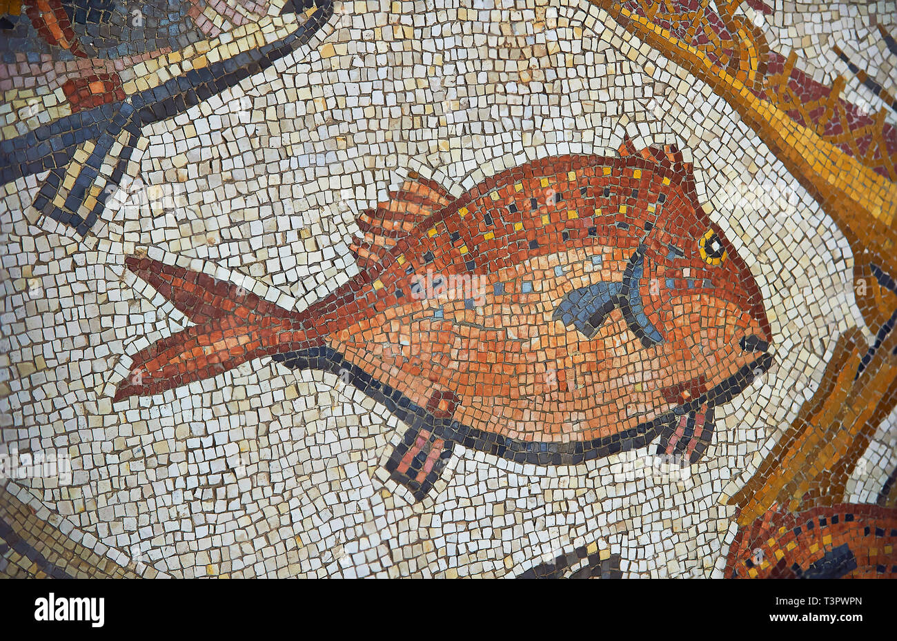 Mosaïque romaine de poisson Banque de photographies et d’images à haute ...