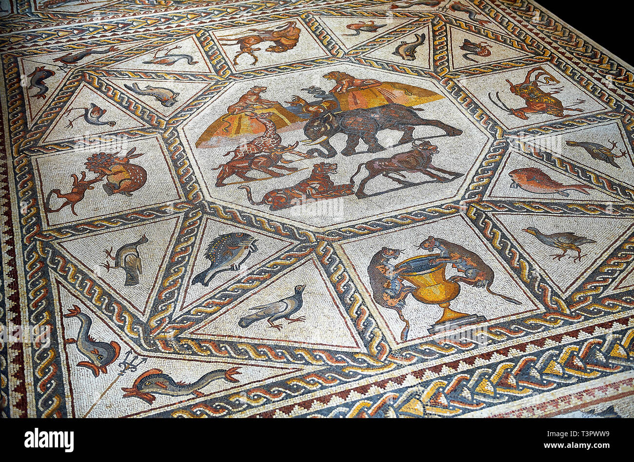 Mosaïque animale africaine africaine Banque de photographies et d ...