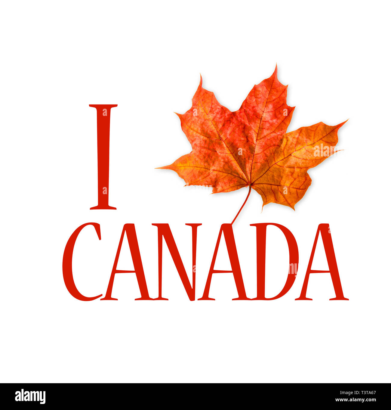 Feuille de canada Banque de photographies et d’images à haute ...