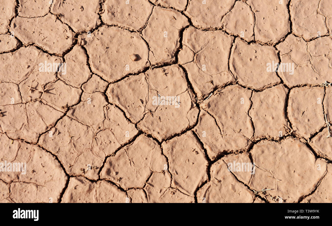 Sol argileux Banque de photographies et d’images à haute résolution - Alamy