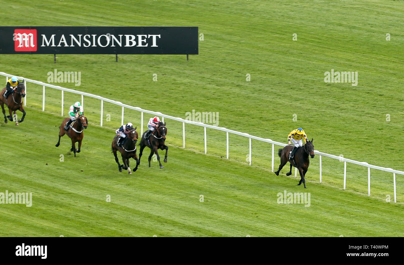 Gagnant compton beauchamp estates ltd silver bar handicap Banque de ...