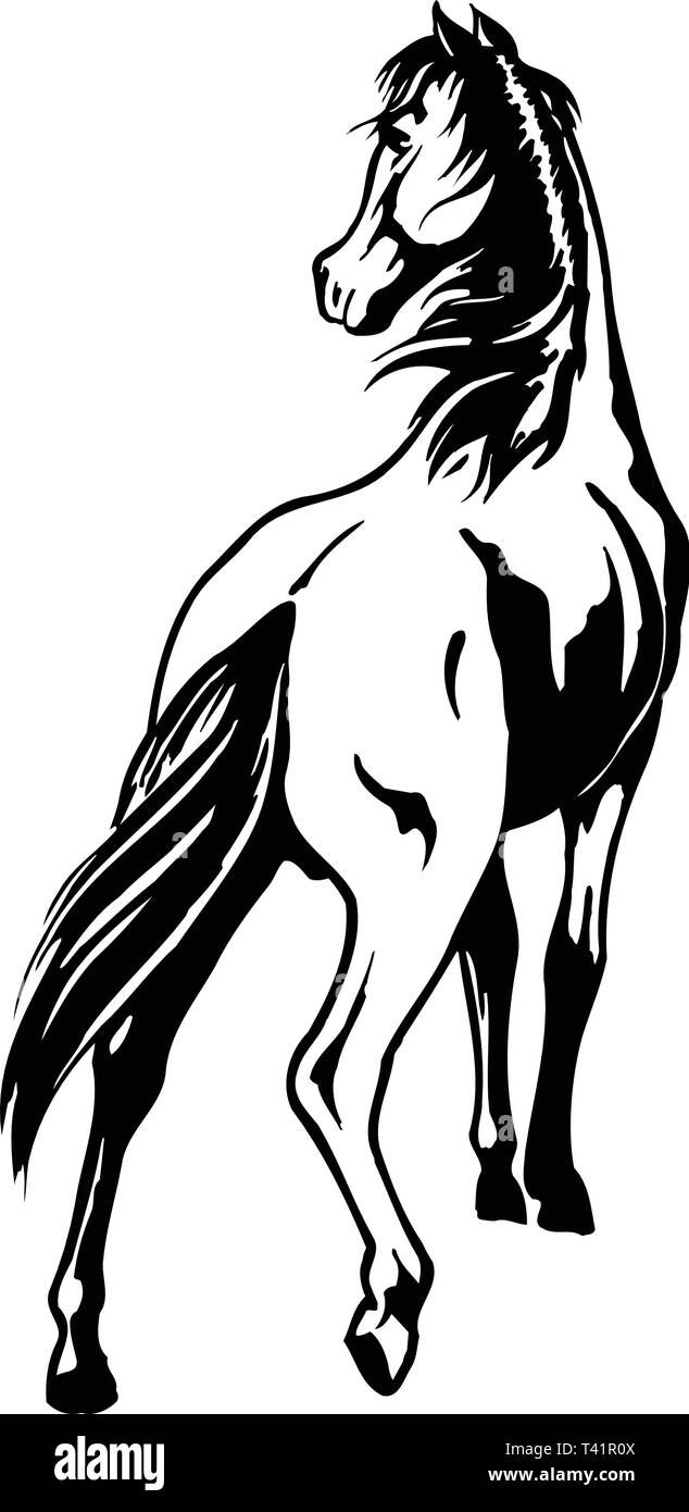 Vecteur de cheval Banque de photographies et d’images à haute ...