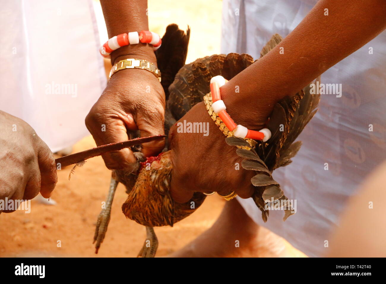 Ouidah benin voodoo Banque de photographies et d’images à haute ...