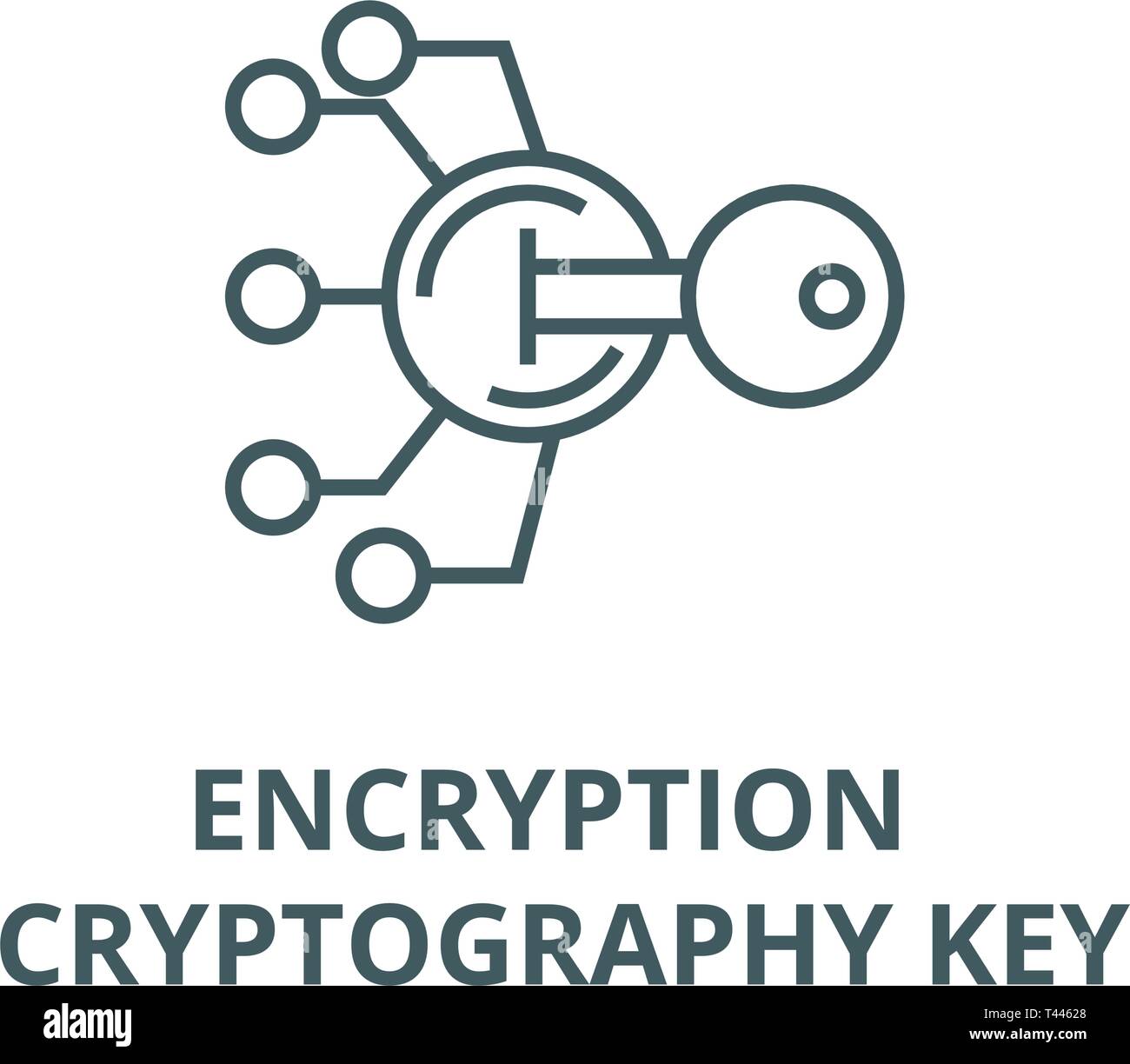 Clé de chiffrement, la cryptographie, l'icône de la ligne de vecteur ...