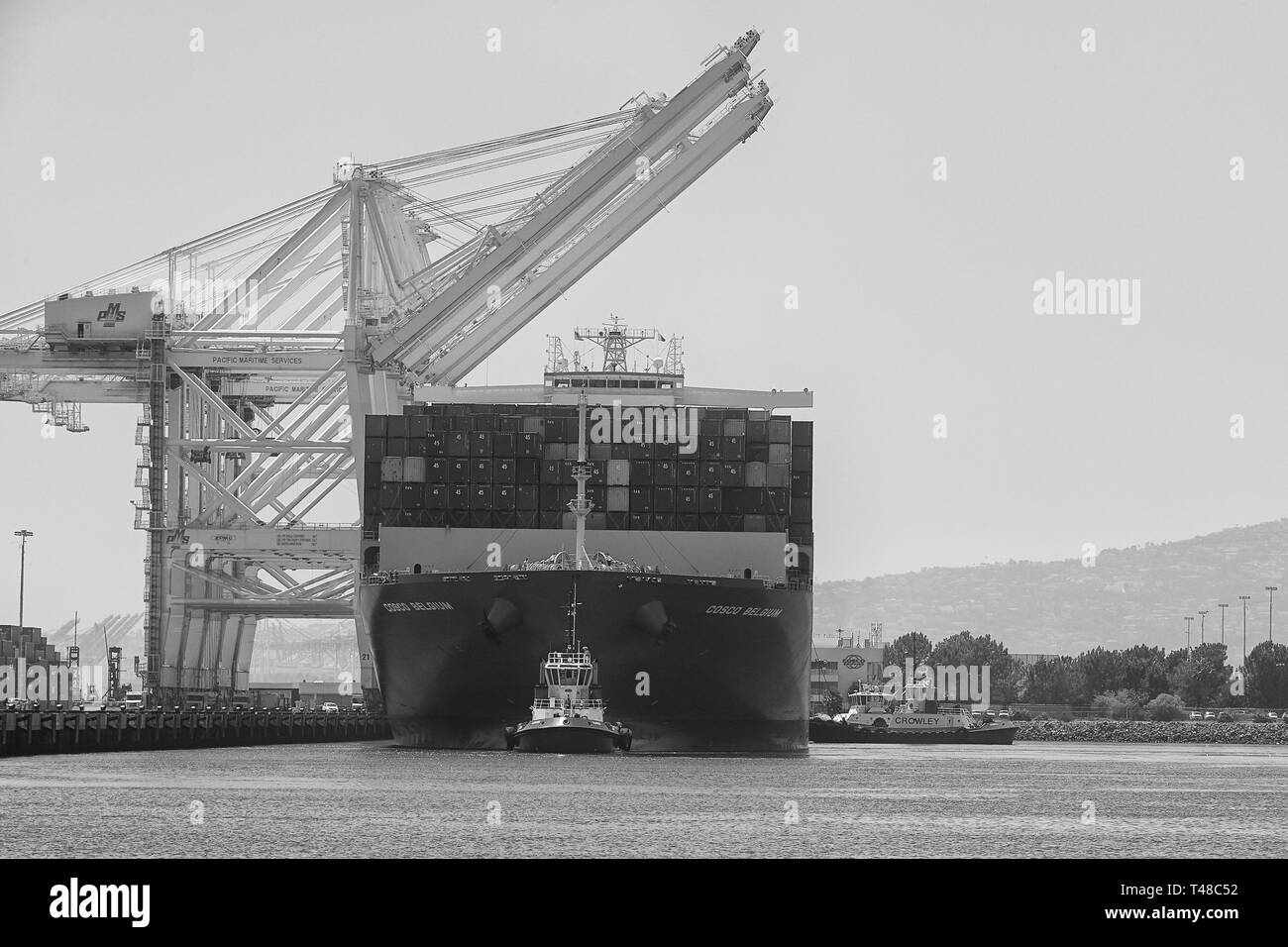 Conteneur sur la plage Banque d'images noir et blanc - Alamy