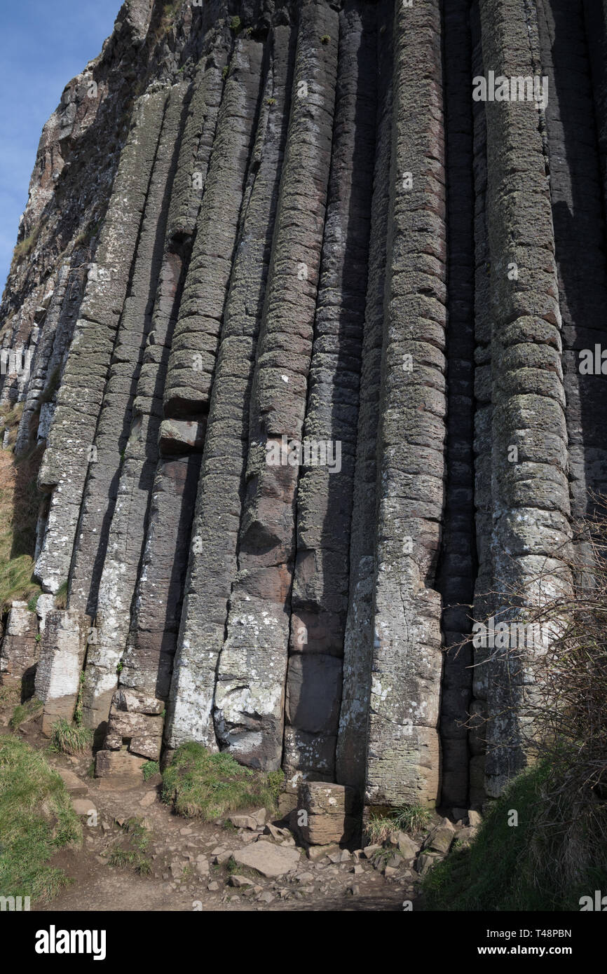 Avec de rares formations de colonnes de basalte volcanique Banque de ...