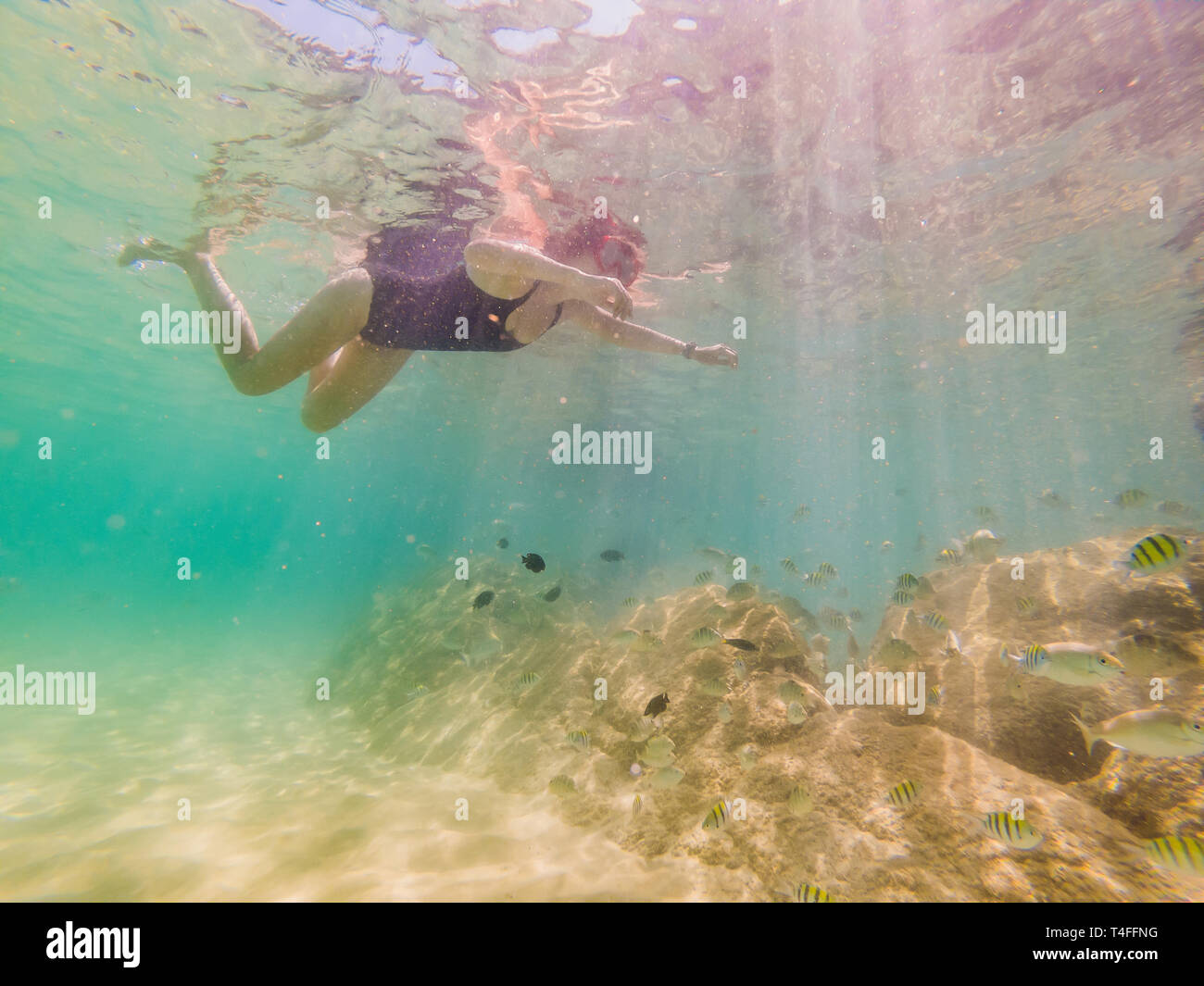 Sous marine bikini girl plongeur tuba Banque de photographies et d ...