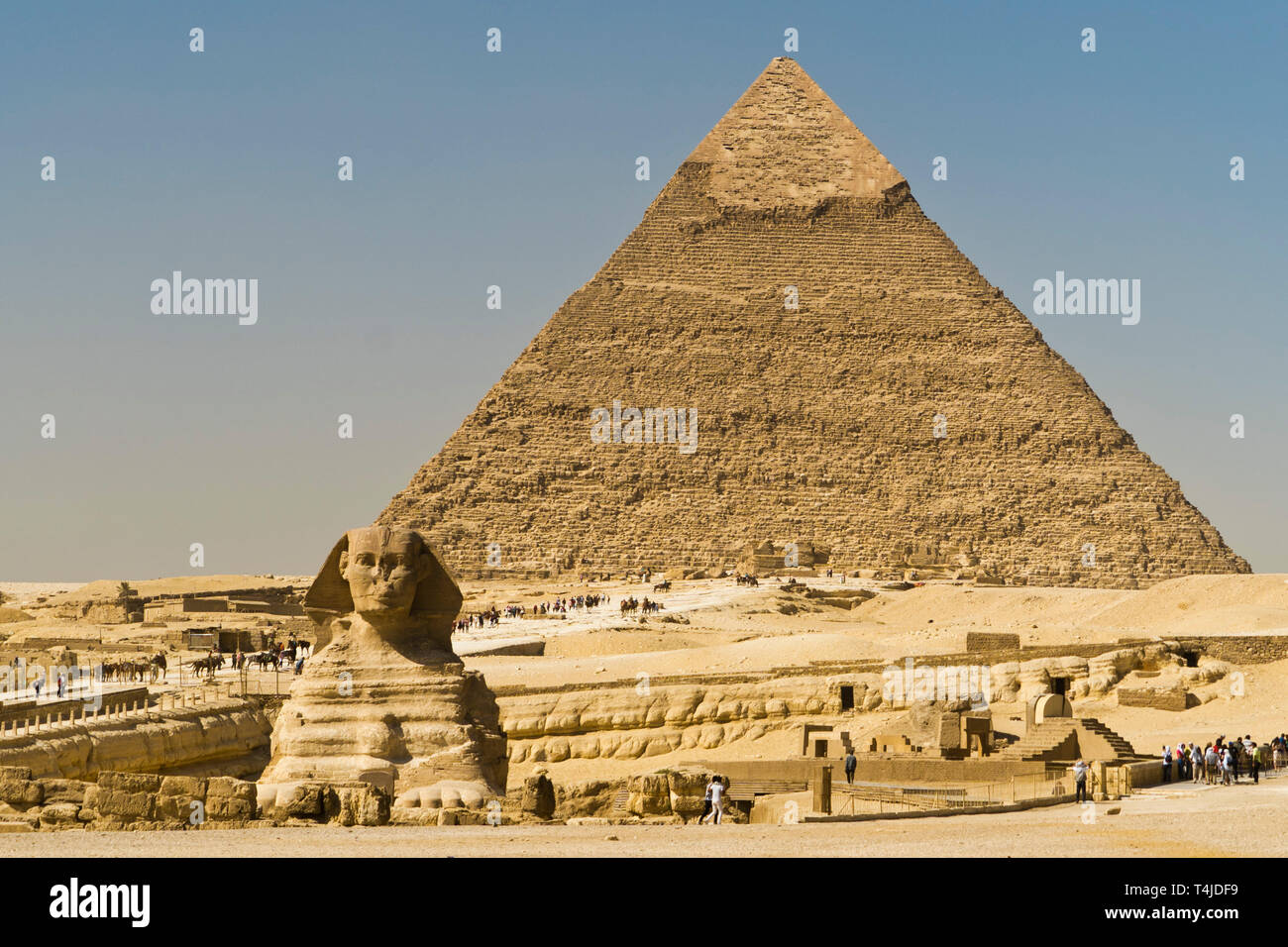 Sphynx egypt Banque de photographies et d’images à haute résolution - Alamy