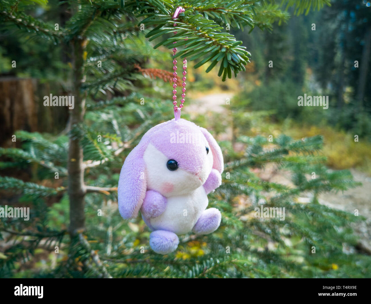 Jouet de lapin perdu Banque de photographies et d’images à haute ...