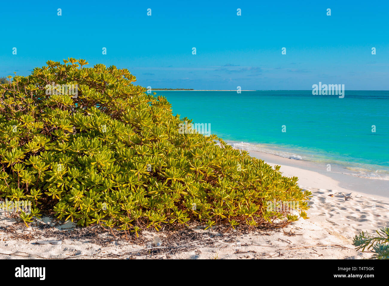 Mar largo Banque de photographies et d’images à haute résolution - Alamy