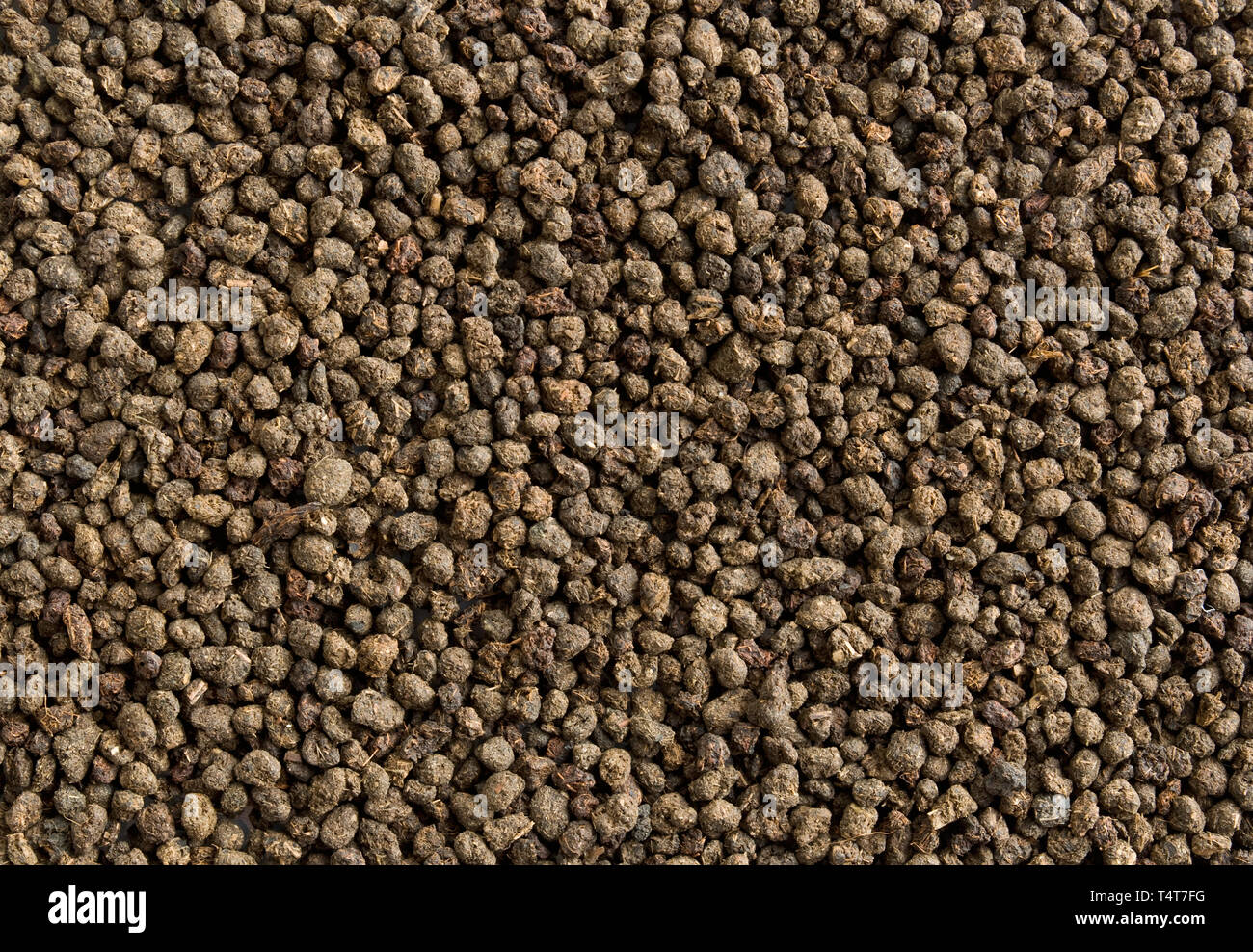 Fondo granulado Banque de photographies et d’images à haute résolution ...