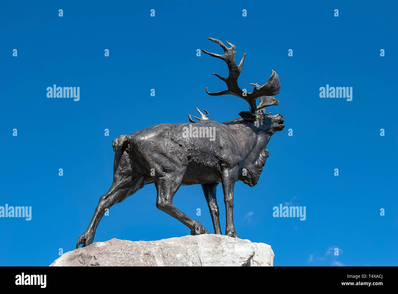 La statue de caribou au Régiment de Terre-Neuve à Beaumont-Hamel ...