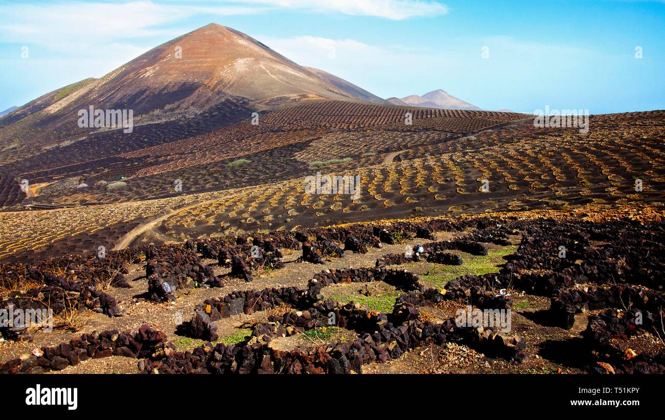 Vignobles en pierre volcanique Banque de photographies et d’images à ...