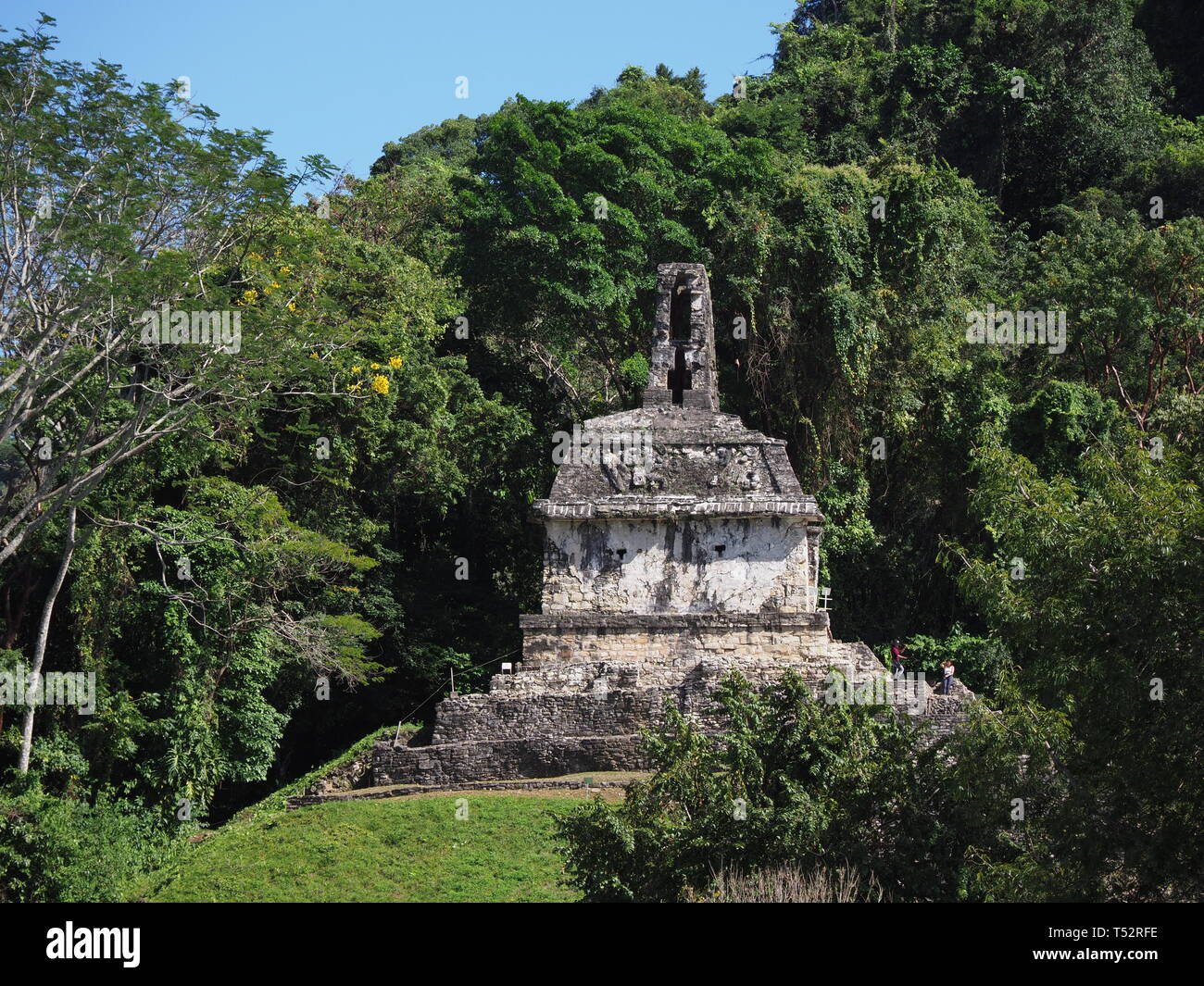 Haut de l'ancien temple de la Croix pyramide à Parc National de Palenque maya au Mexique ville ...