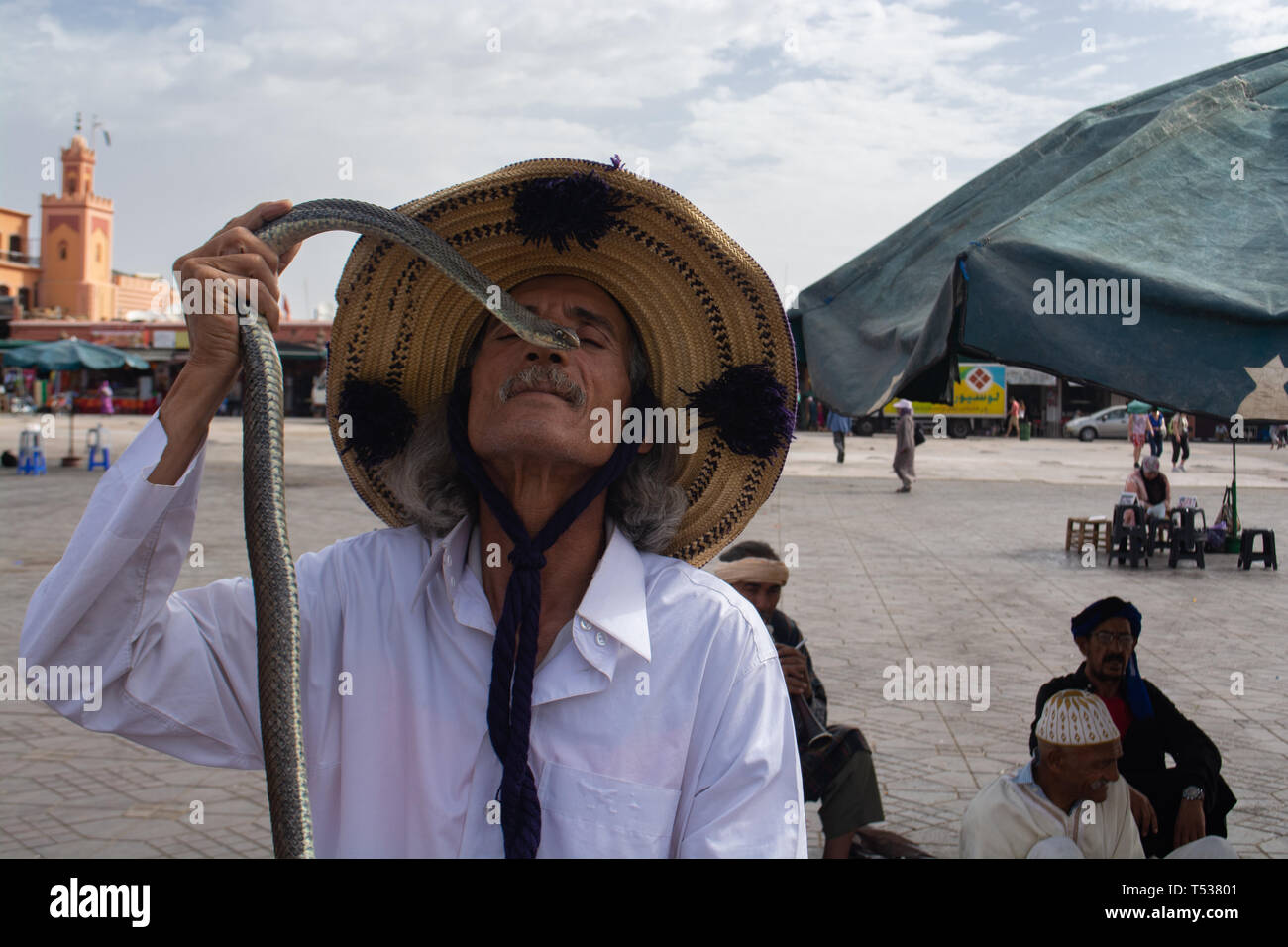Moroccan cobra Banque de photographies et d’images à haute résolution ...