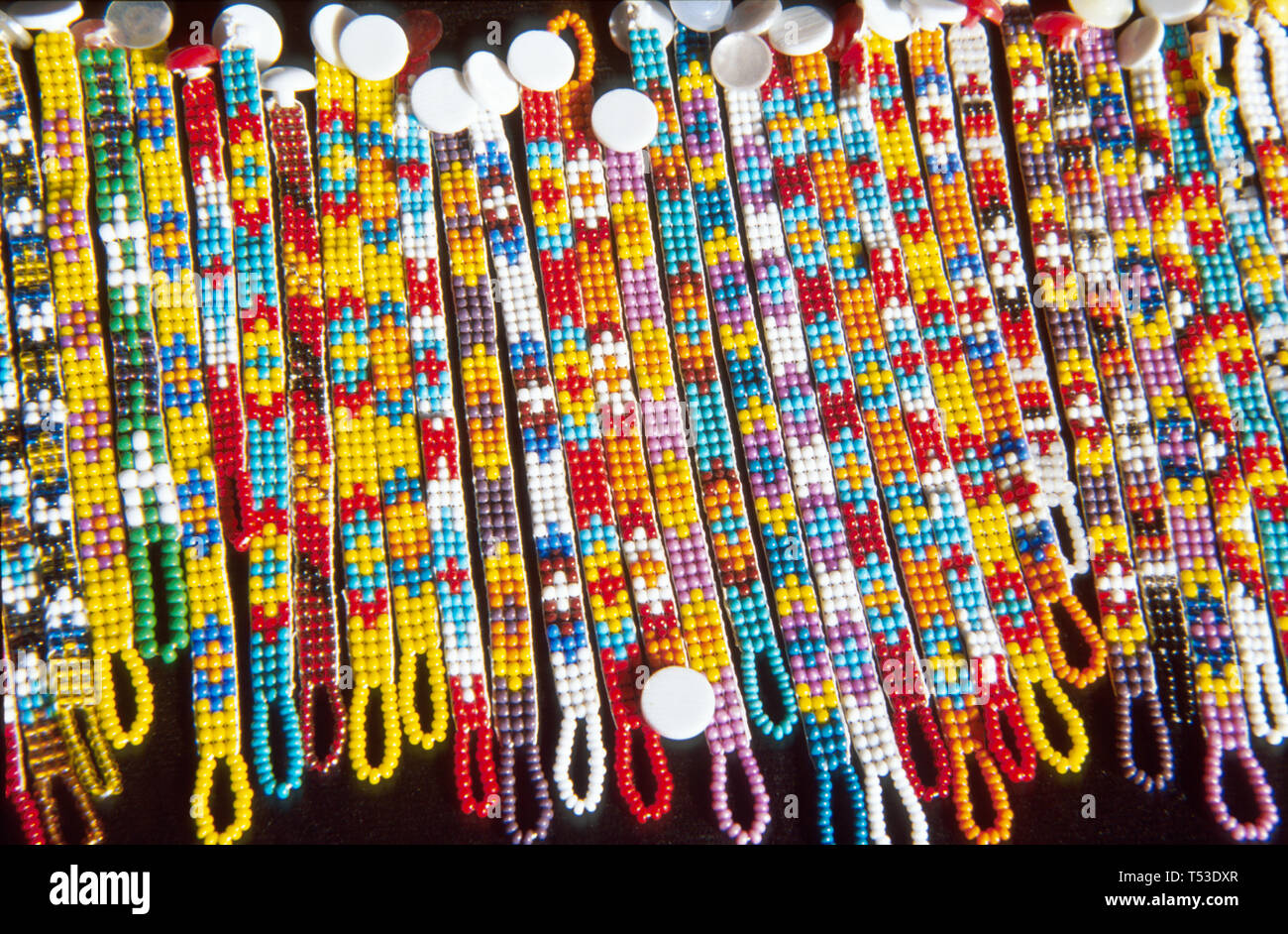 Réserve indienne Miccosukee Seminole des Everglades de Floride, peuples ...