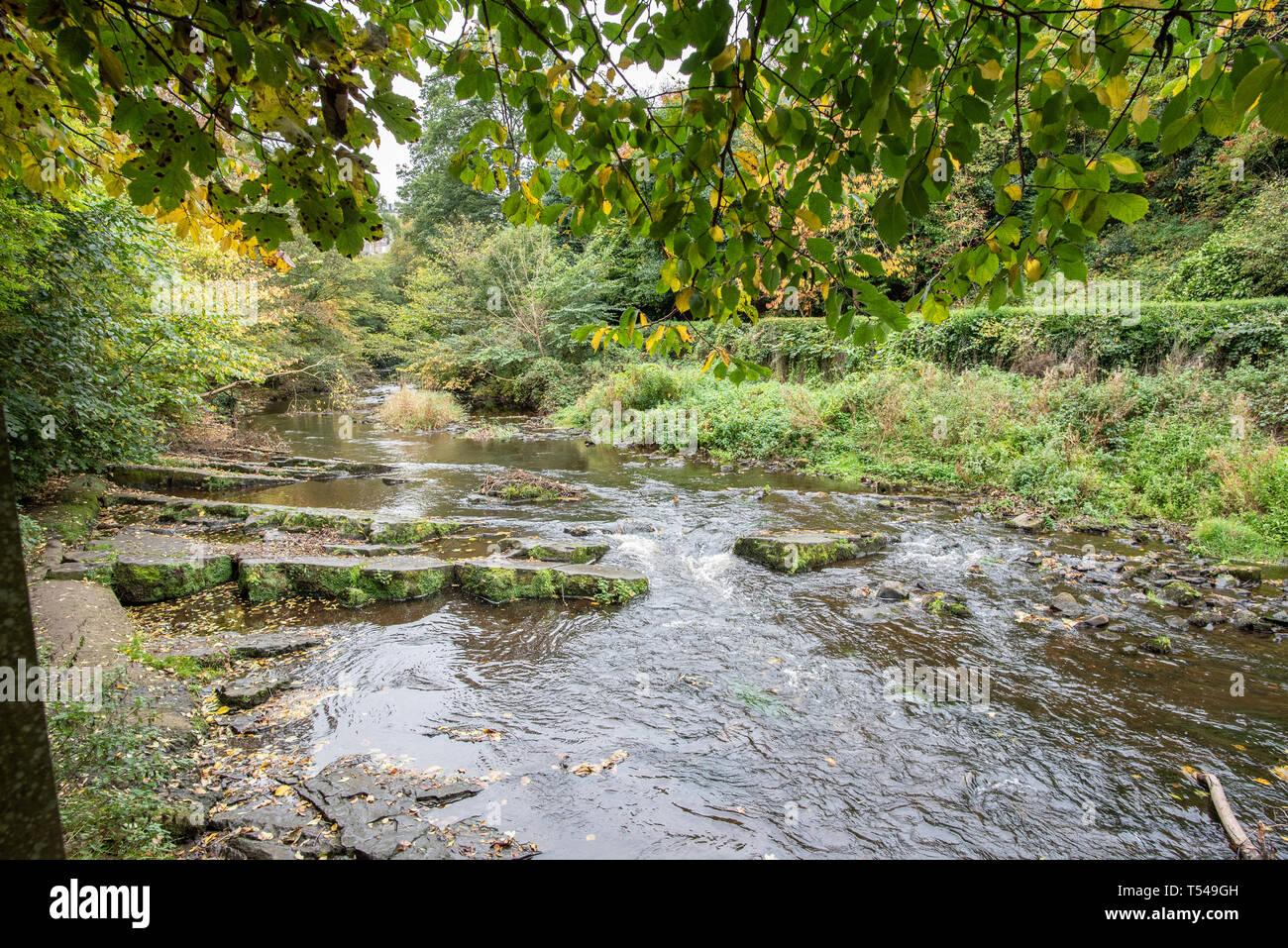 Stream uk Banque de photographies et d’images à haute résolution - Alamy