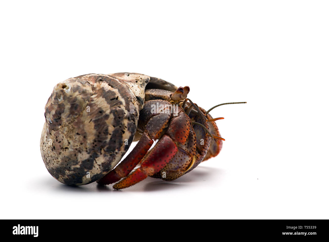 Plage ermite Banque d'images détourées - Alamy