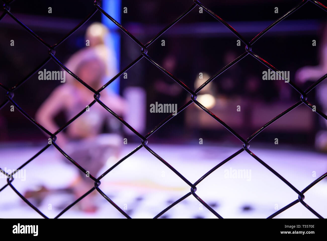 Boxing ring girl round Banque de photographies et d’images à haute ...