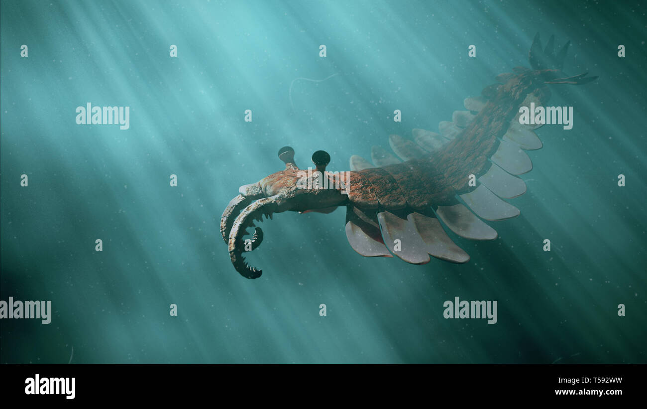 Anomalocaris, créature préhistorique de la période cambrienne (3d ...