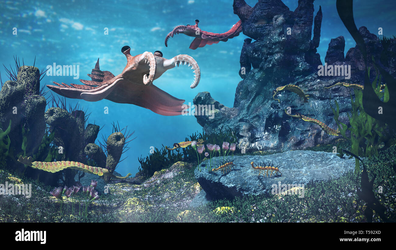 Anomalocaris canadensis Banque de photographies et d’images à haute ...