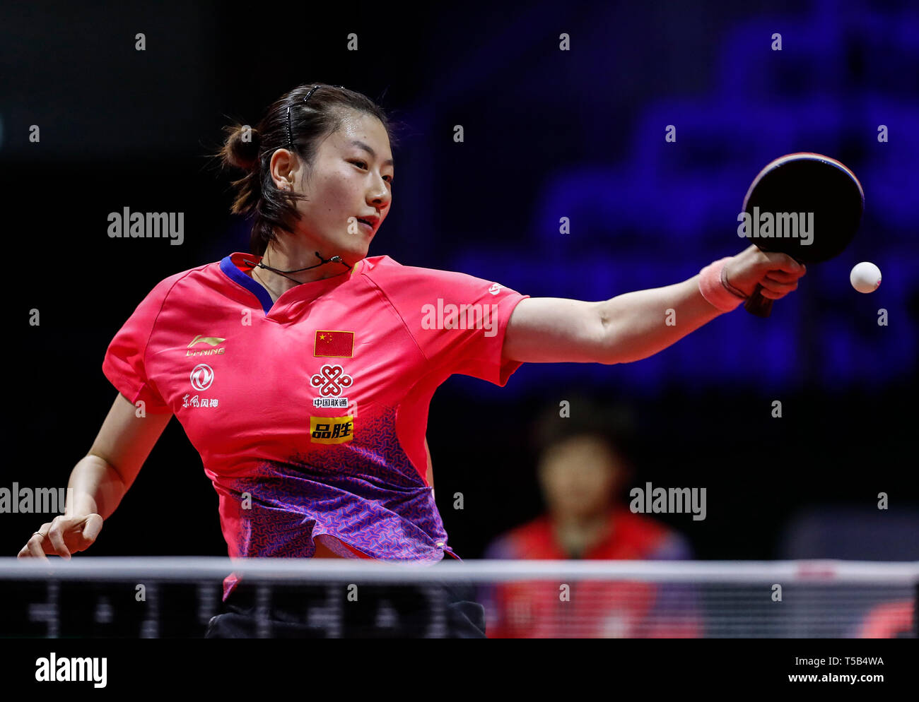 Yousra helmy Banque de photographies et d’images à haute résolution - Alamy