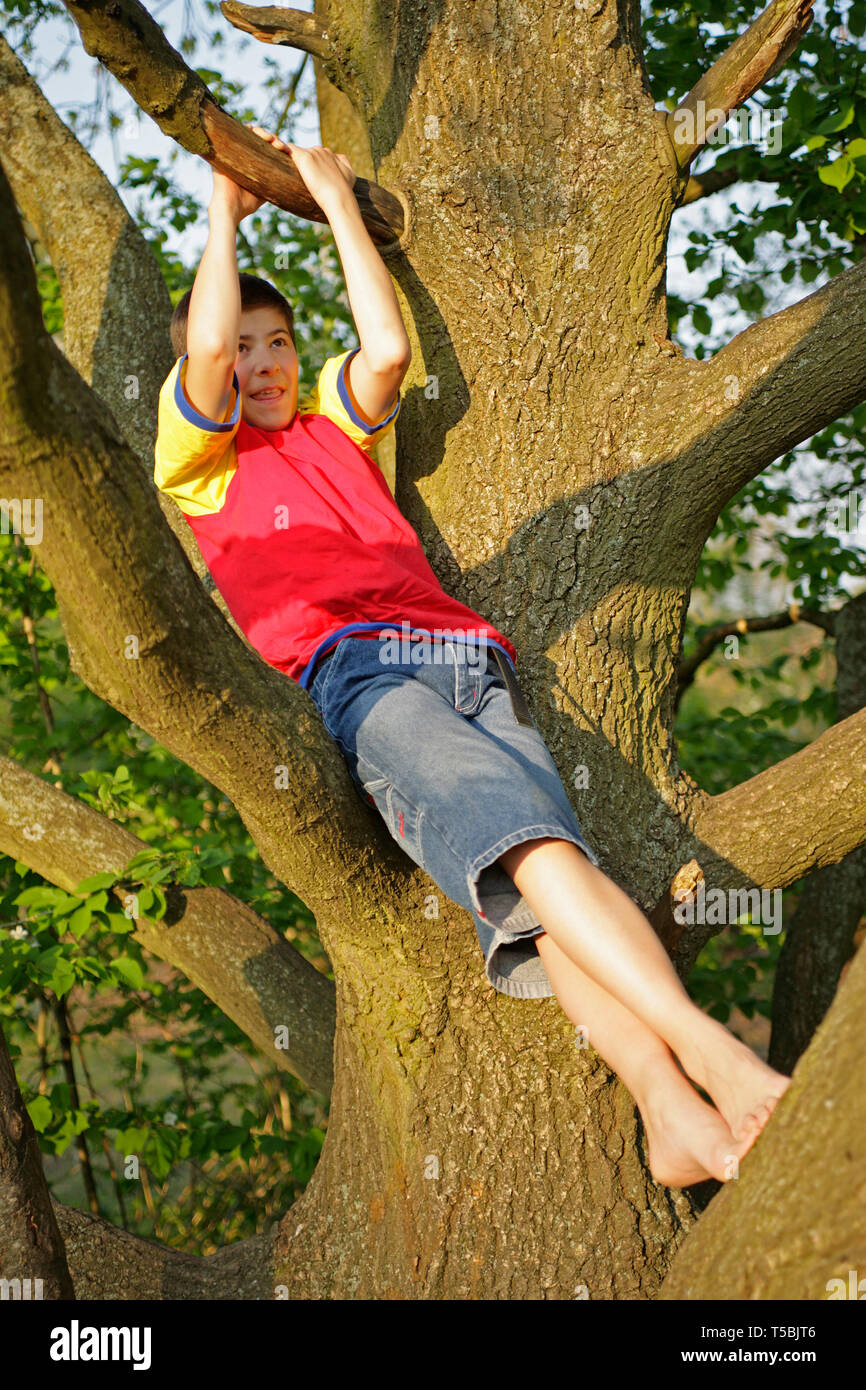 Boy Climbing Tree Barefoot Banque d'image et photos - Alamy