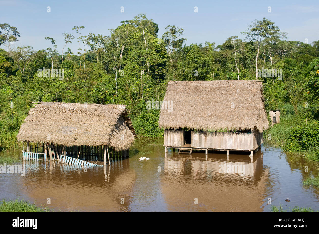 Pérou, Amérique du Sud. Village d'Amazonas. Les tribus indiennes ...