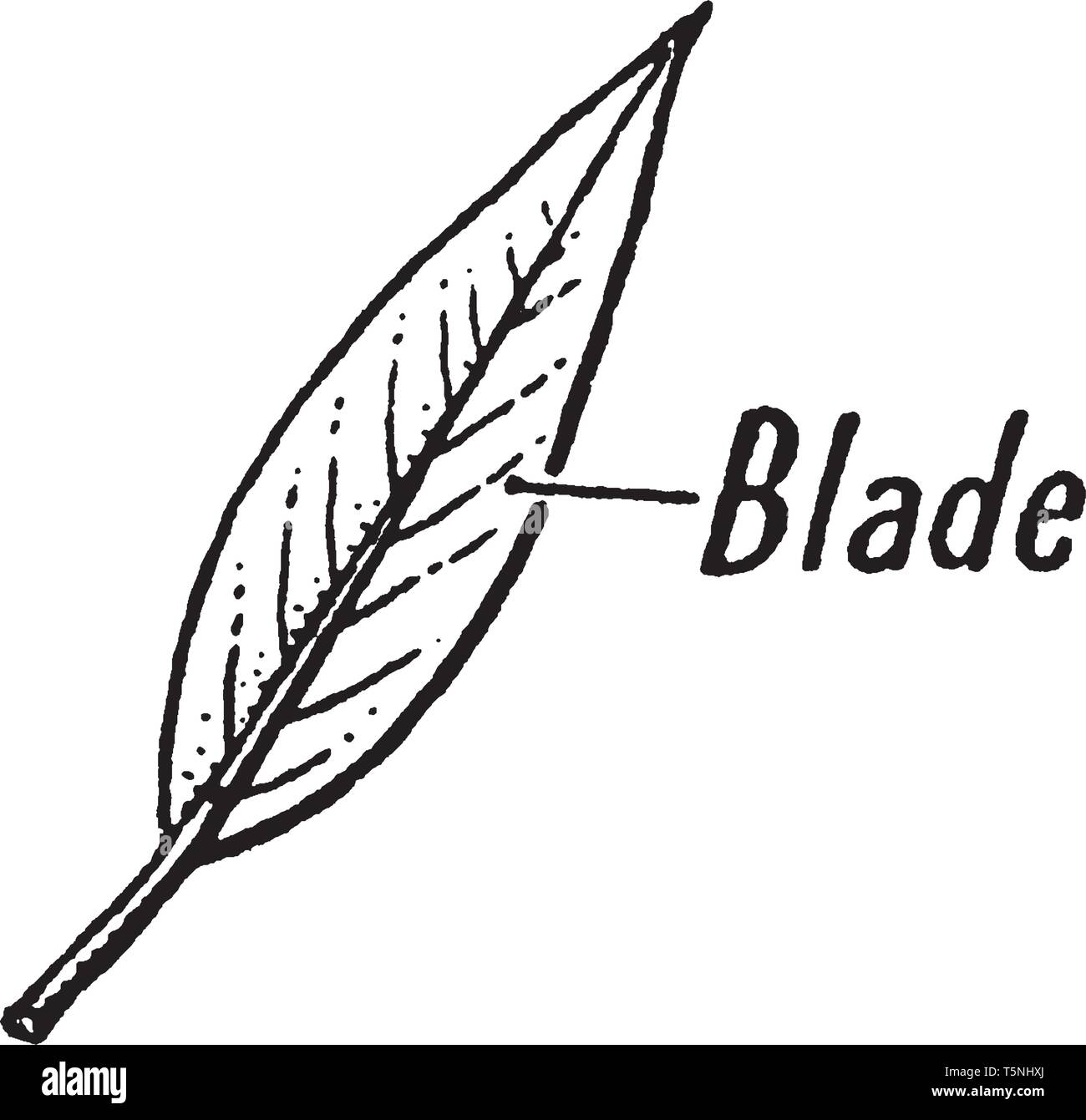 Limbe folaire Banque de photographies et d’images à haute résolution ...